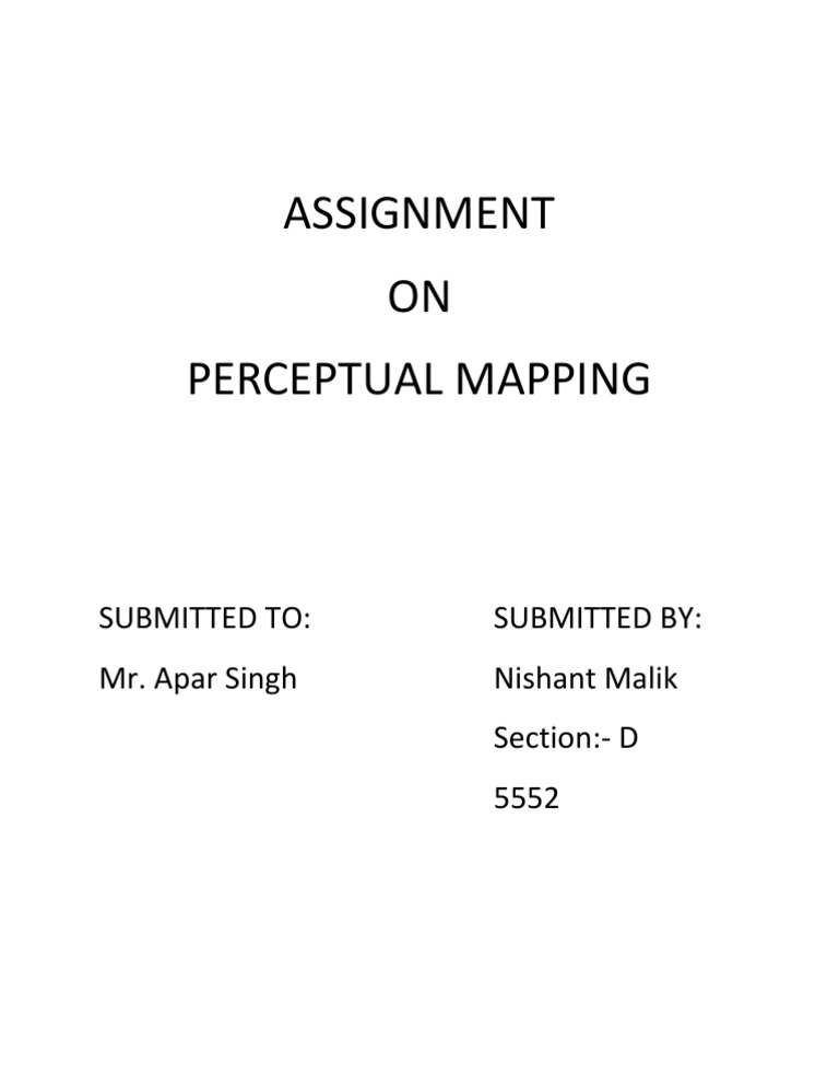 Perceptual Mapping Assignment | PDF
