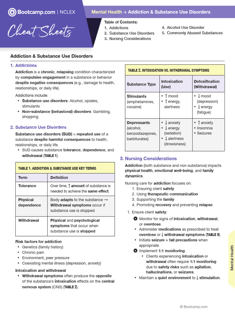 Understanding Addiction and SUD Care | PDF | Substance Abuse ...