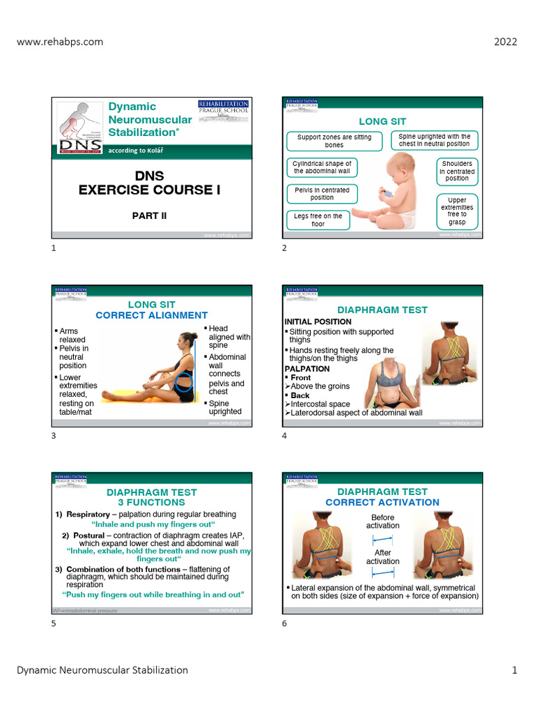 Dynamic Neuromuscular Stabilization Techniques | PDF | Pelvis ...