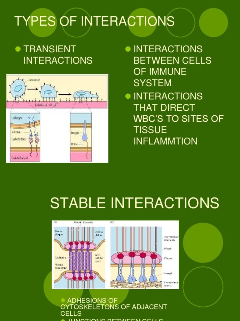 Types of Cell Interactions and Adhesion | PDF | Wellness | Science ...