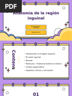 Anatomía del Canal Inguinal Femenino | PDF | Abdomen | Sistema ...