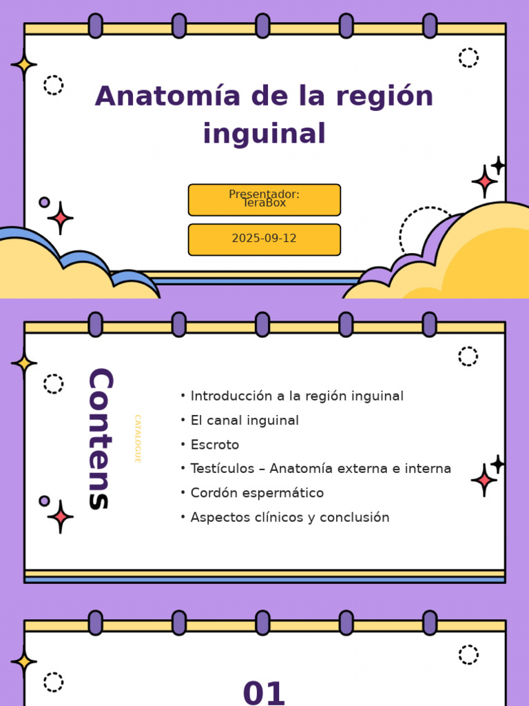 Anatomía del Ligamento Inguinal | PDF | Testículo | Anatomia animal