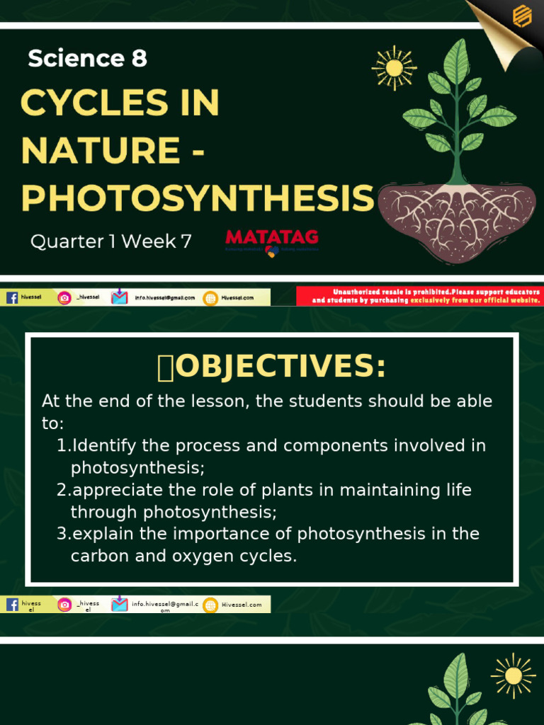 Science 8 Quarter 1 Week 7 | PDF | Stoma | Leaf