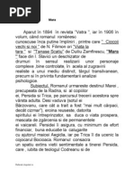 Mara-Rezumat Pe Capitole | PDF
