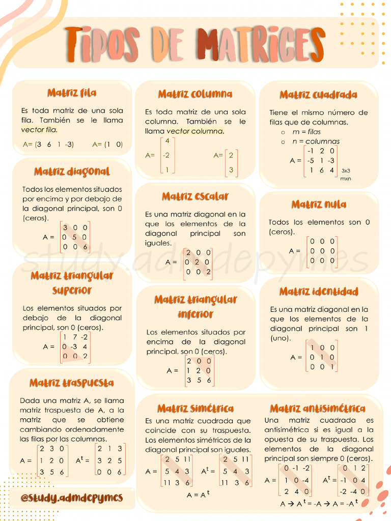 Tipos de Matrices | PDF