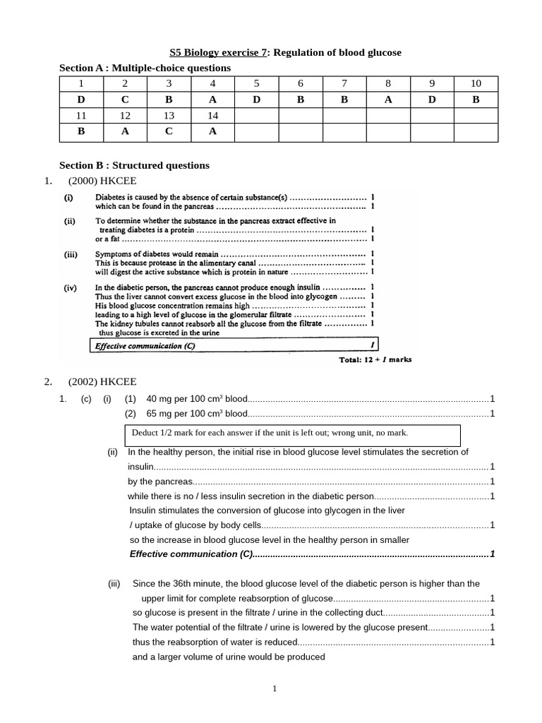 Blood Glucose Regulation Exercises | PDF | Glucose | Diabetes