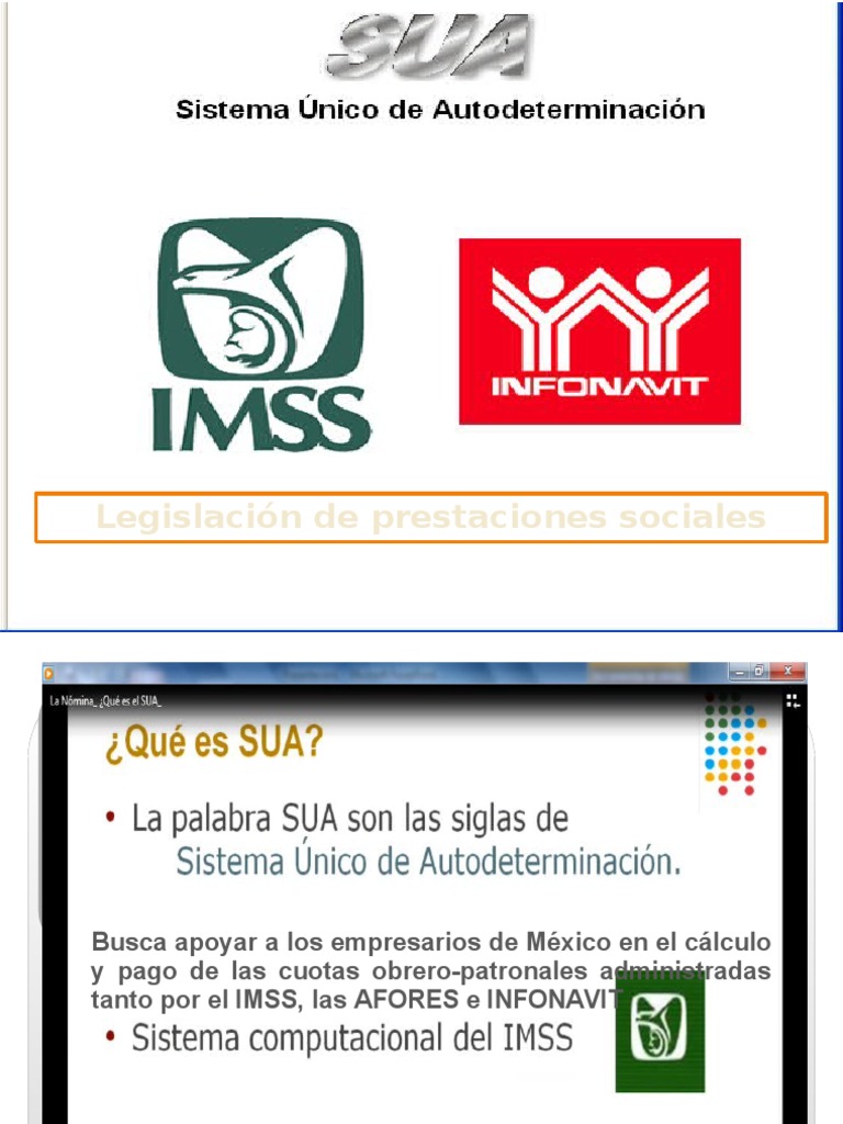 Guía del Sistema SUA del IMSS | PDF | Archivo de computadora | Sistema ...