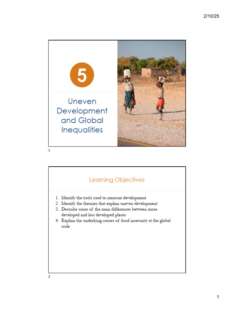 Lecture 4 - Uneven Development and Global Inequalities | PDF | Cost Of ...
