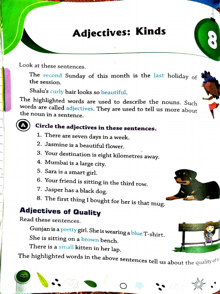 Adjectives | PDF | Adjective | Grammar