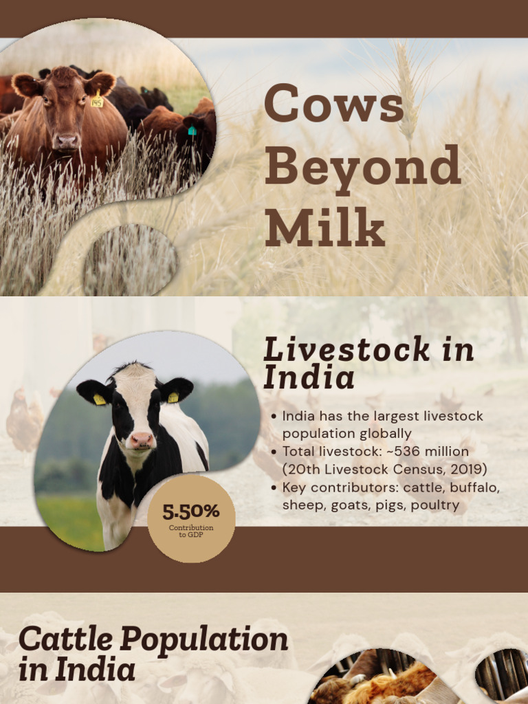 Cows Beyond Milk - Dr. Vikas Pathak | PDF | Biogas | Manure