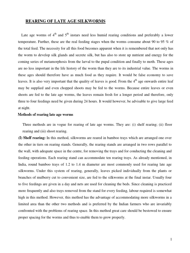 Rearing of Late Age Silkworms | PDF | Leaf | Bamboo