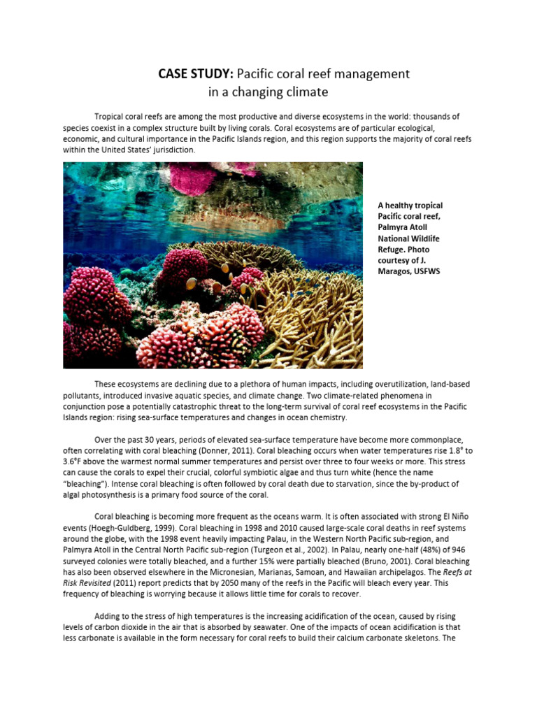 Coral Reef Management in Pacific Islands | PDF | Coral | Coral Reef
