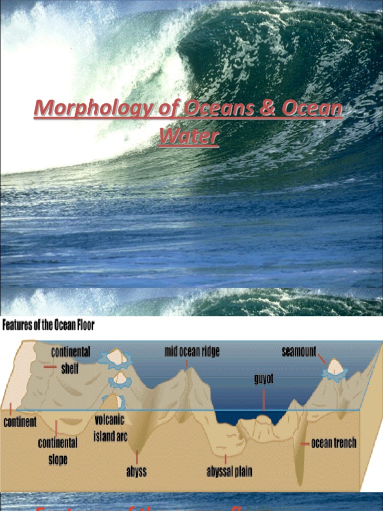 Morphology of Oceans & Ocean Water | PDF | Seabed | Oceans