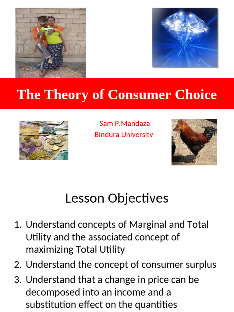 Theory of Consumer Choice | PDF | Utility | Demand