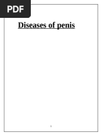Understanding the Penile Raphe Line | PDF | Genitourinary System ...