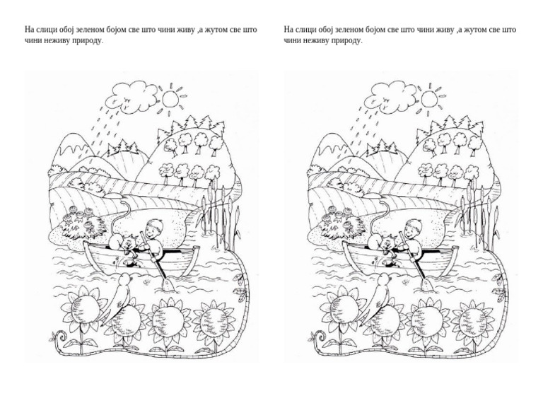 Nastavni List Za Zivu I Nezivu Prirodu | PDF