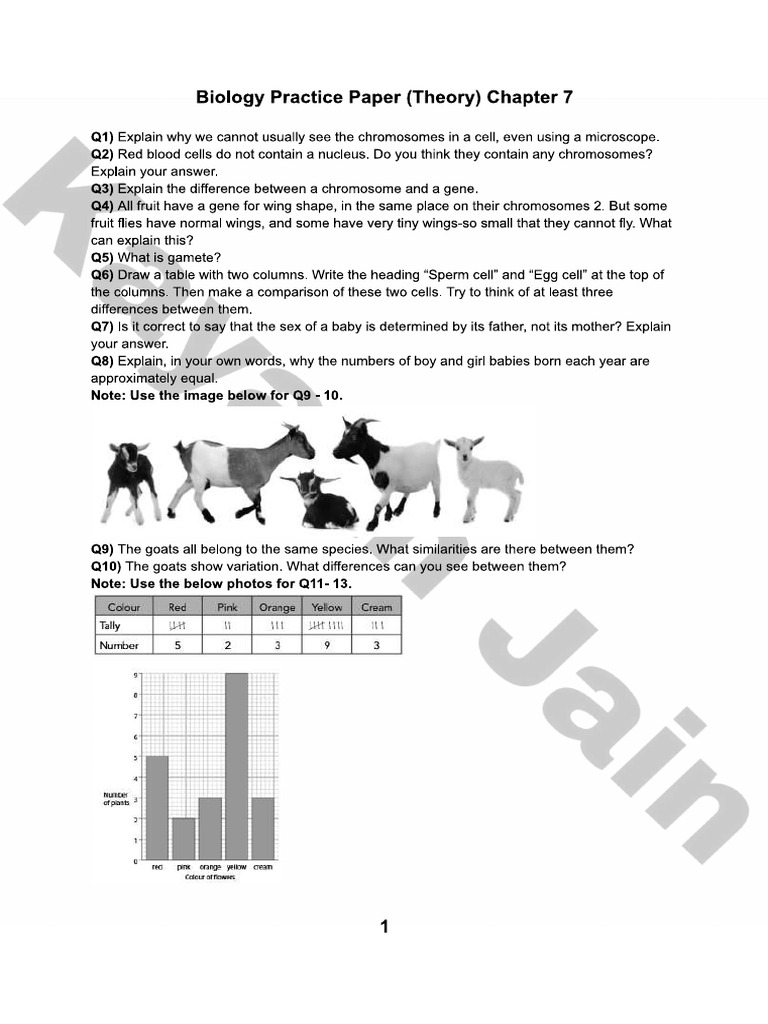 Biology Practice Paper (Theory) Chapter 7 | PDF