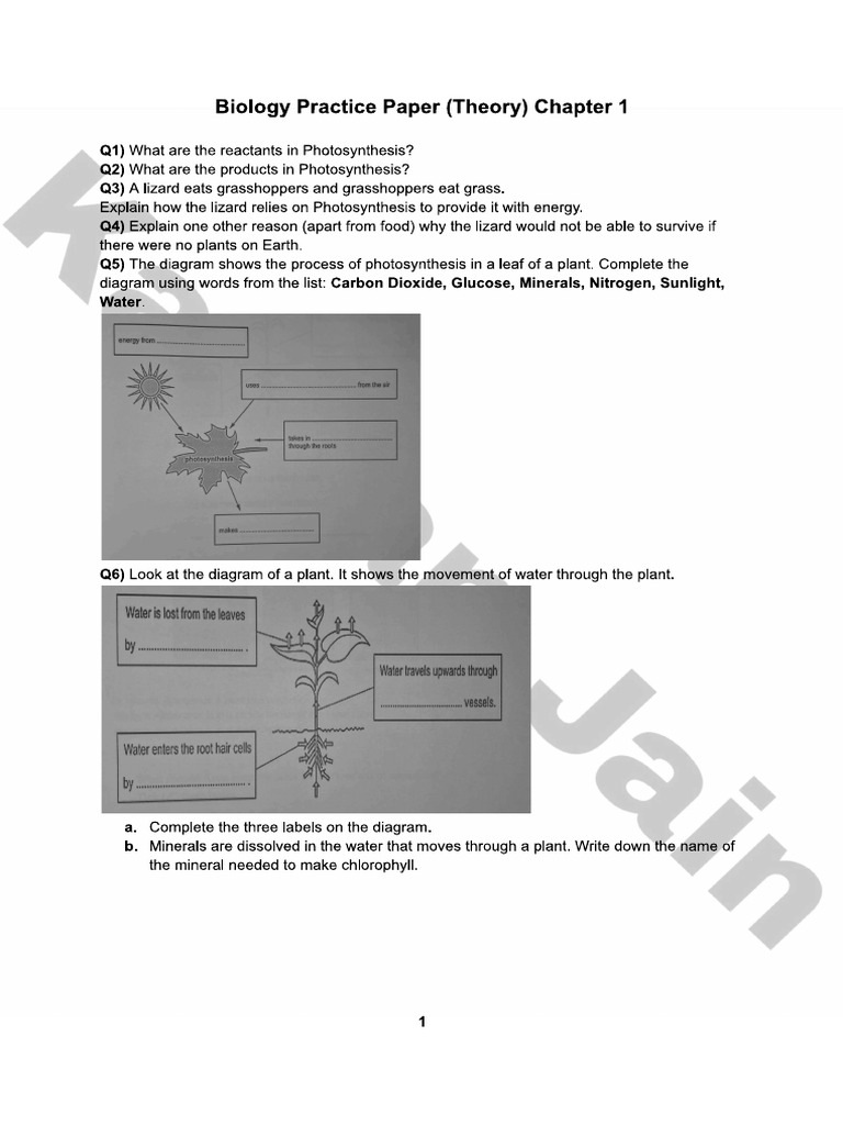 Biology Practice Paper (Theory) Chapter 1 | PDF