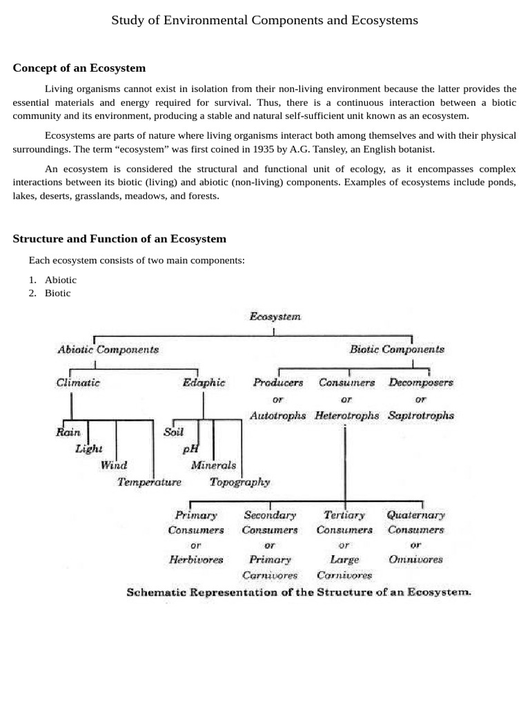 Ecosystem Components and Functions | PDF | Ecosystem | Natural Environment
