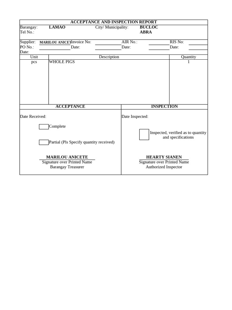 Acceptance and Inspection Report - Brgy. Lamao | PDF