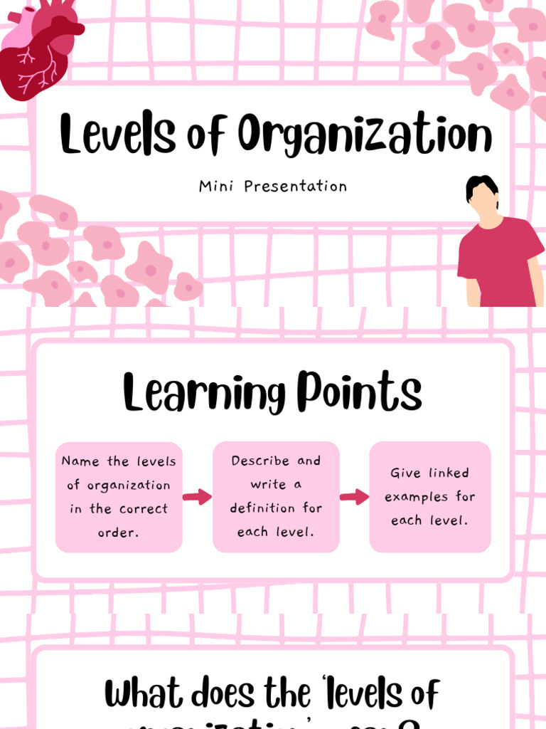 Levels of Organization Biology Presentation in A Pink Simple Style ...