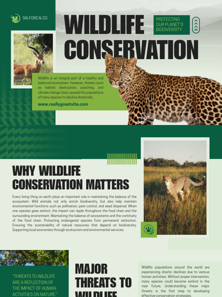 Wildlife Conservation: Protecting Biodiversity | PDF | Conservation ...