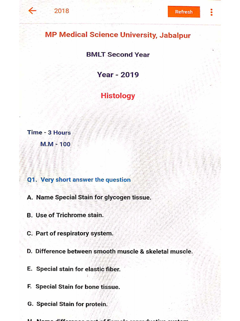 BMLT 2ed Year 18 Yo 24 All Subjects Paper | PDF