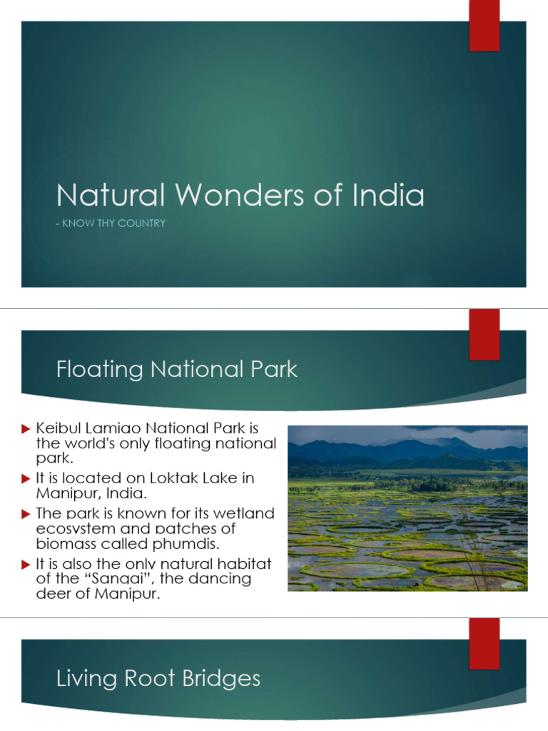 Unique Natural Wonders of India | PDF