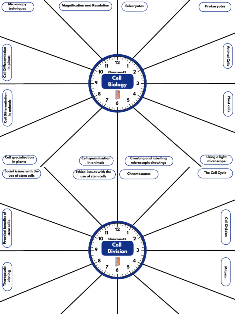 B1 Revision Clocks Combined Merged | PDF | Cell (Biology) | Cellular ...