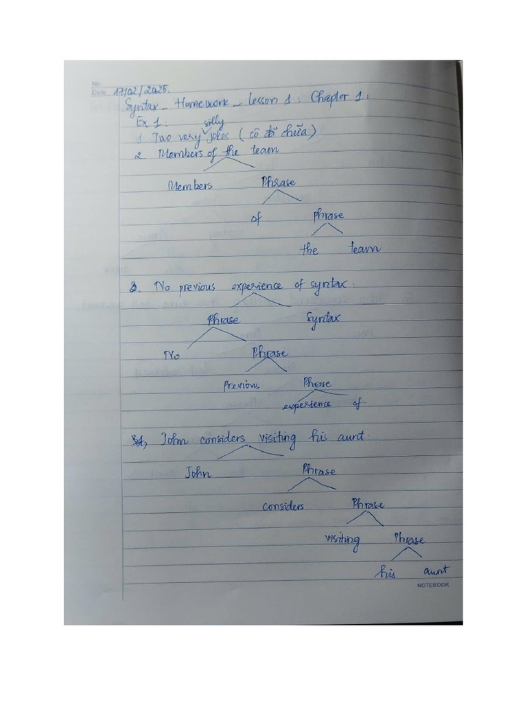 Syntax - Homework - Lesson 1 - Chapter 1 | PDF