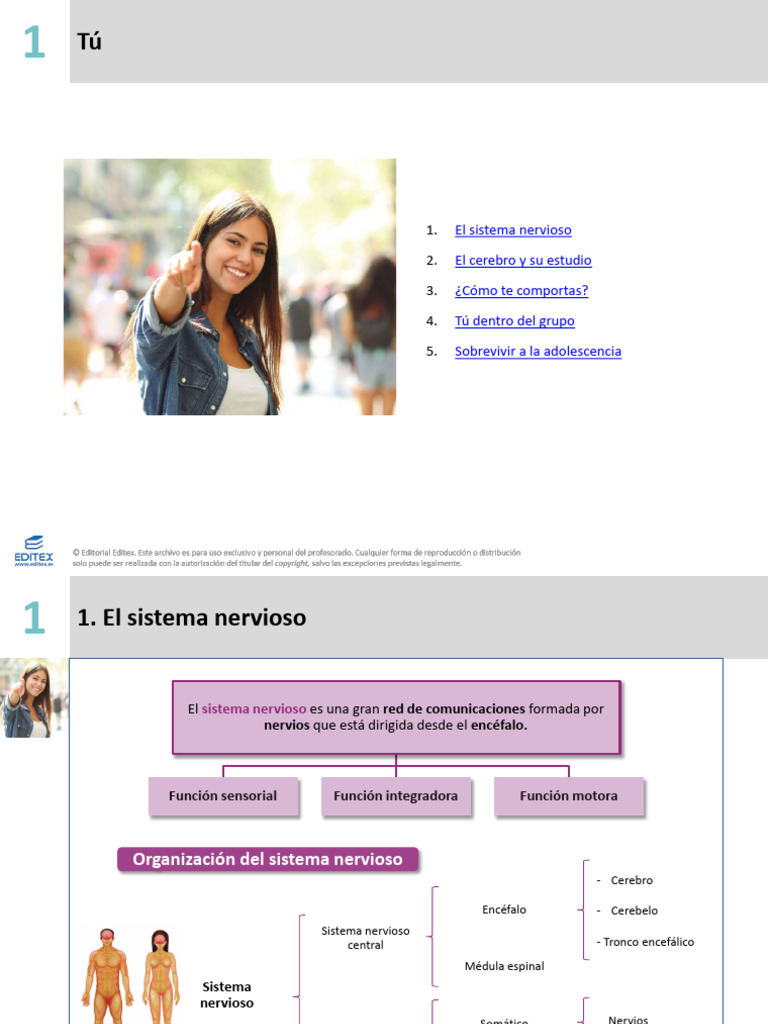 4eso Fopp U01 PDF | PDF | Sistema nervioso | Cerebro