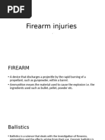 Entrance Wounds | PDF