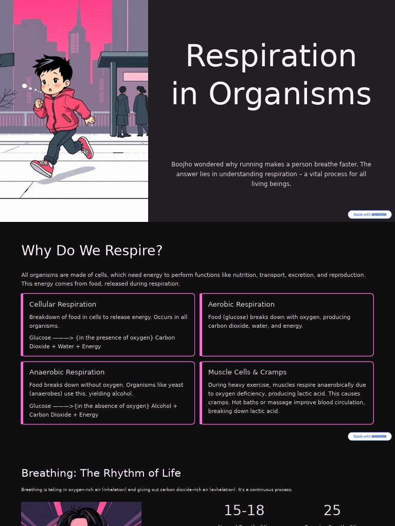 Respiration in Organisms | PDF | Breathing | Respiratory System