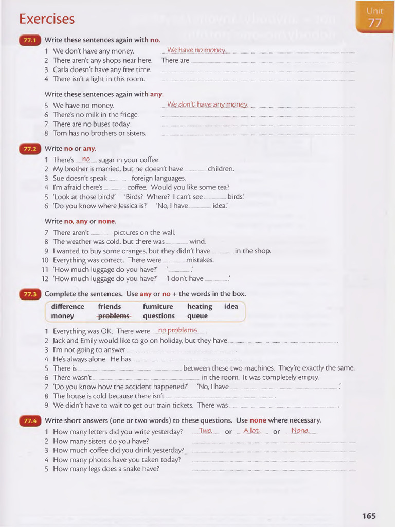 Rewrite Sentences Using No and Any | PDF