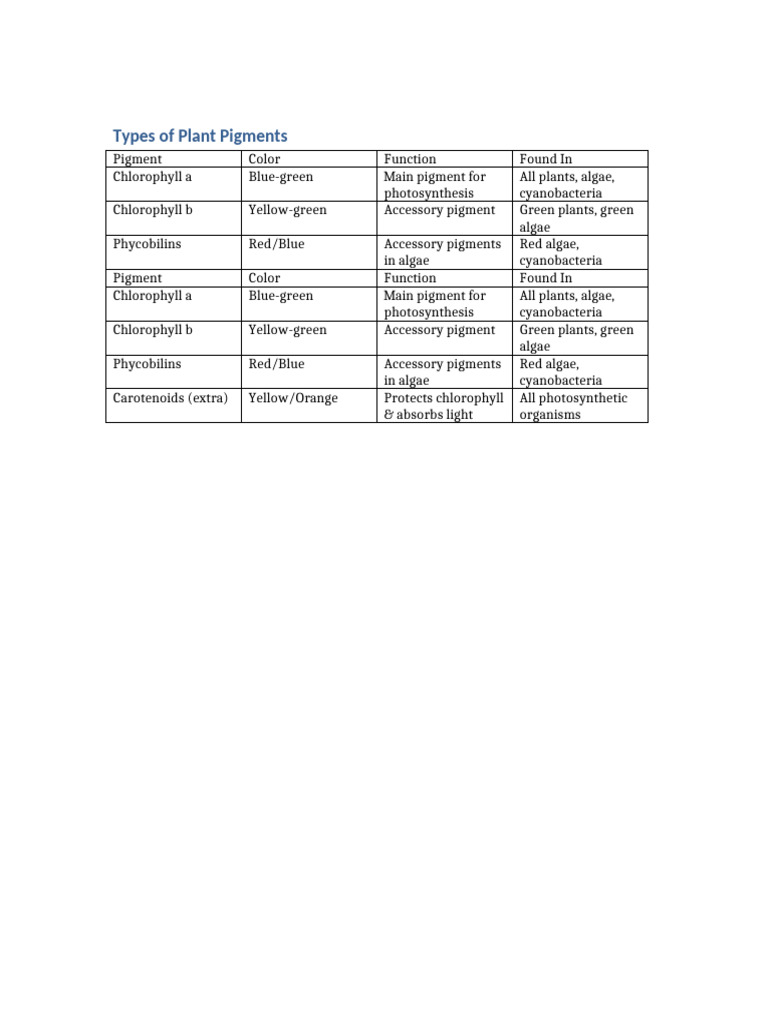Plant Pigments Table | PDF