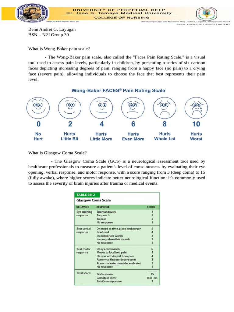 Pain and Consciousness Assessment Scales | PDF