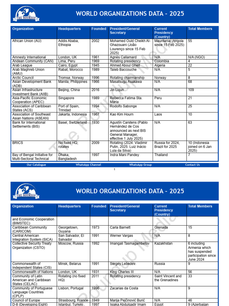 World Organizations Overview 2025 | PDF