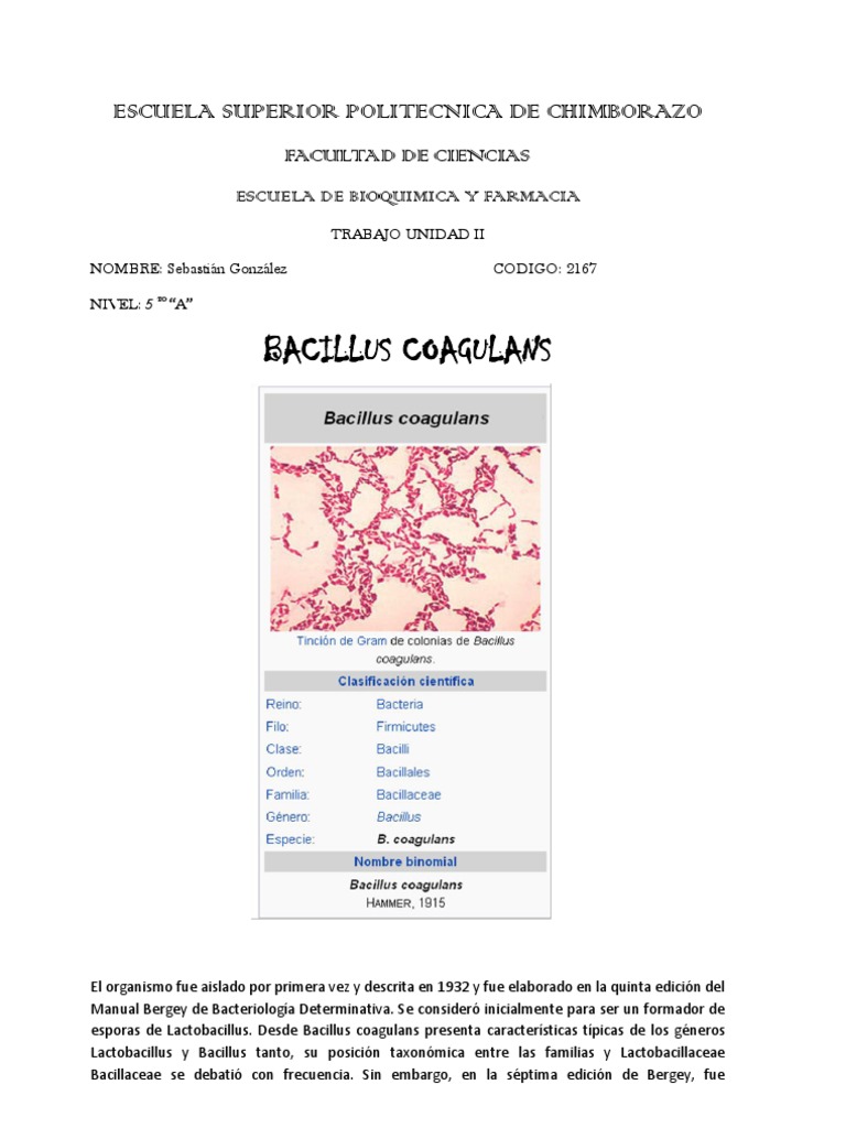 Bacillus Coagulans | PDF | Las bacterias | Diarrea