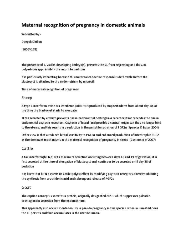 Maternal Recognition of Pregnancy in Domestic Animals | PDF | Pregnancy ...