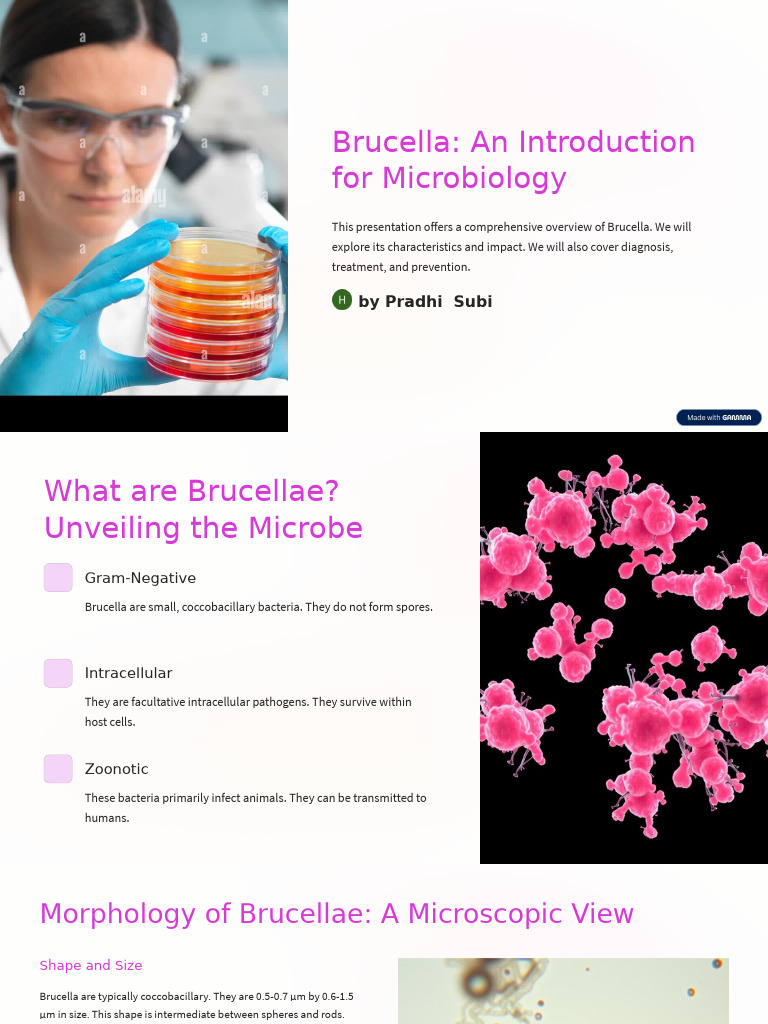 Overview of Brucella and Brucellosis | PDF | Infection | Human Diseases ...