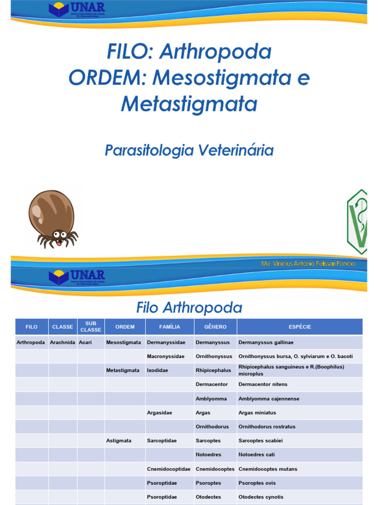 AULA 3 - CARRAPATOS Morfologia e Ciclo de Vida | PDF | Aves
