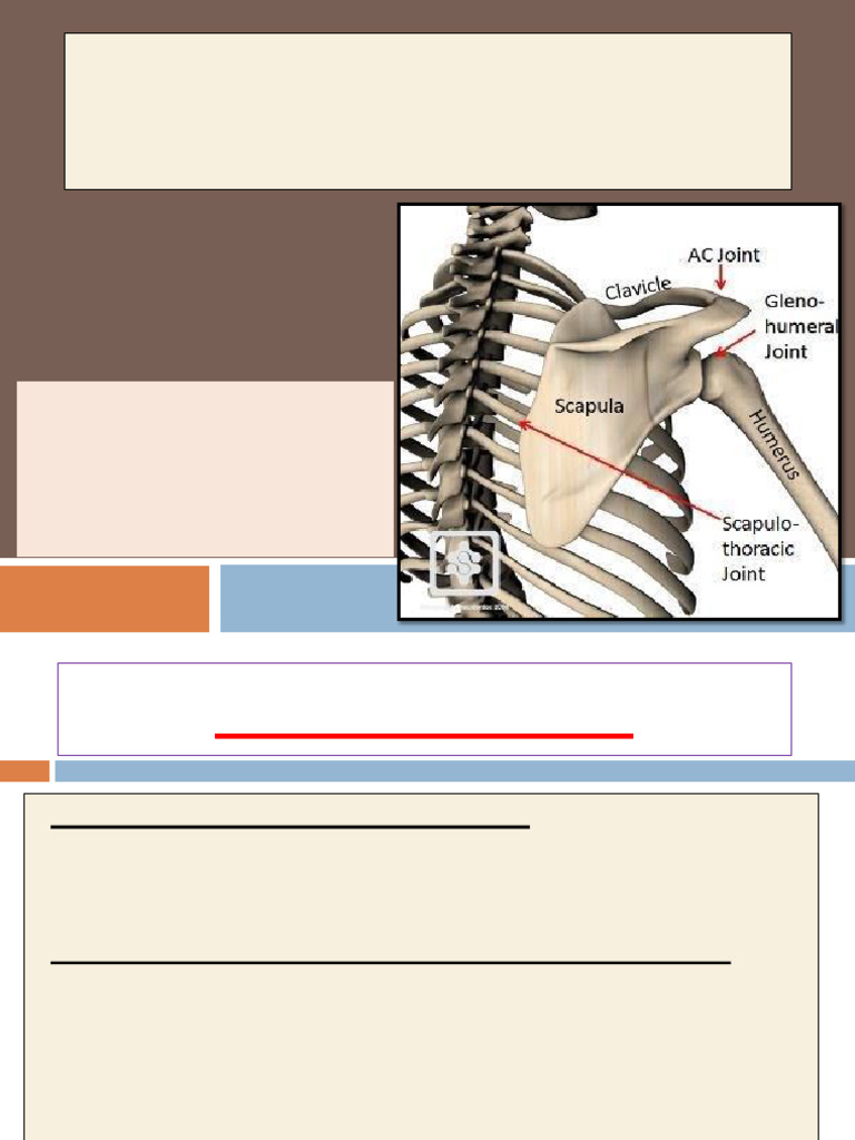 Biomechanics of Shoulder | PDF | Shoulder | Anatomical Terms Of Motion