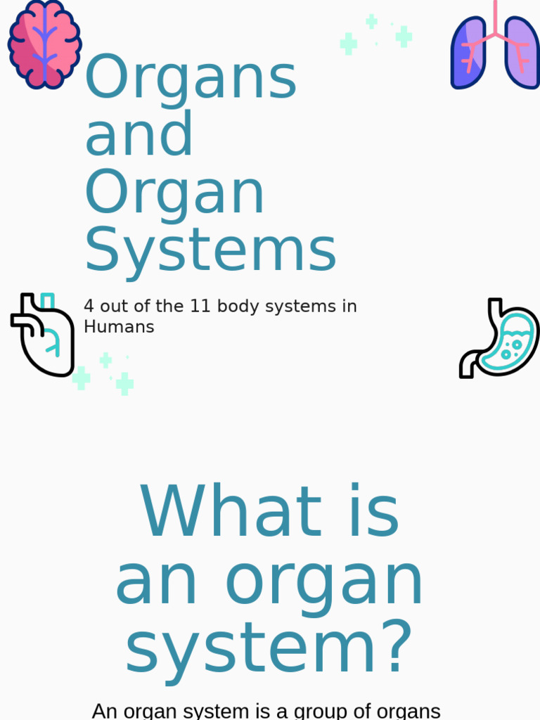 Overview of Human Organ Systems | PDF