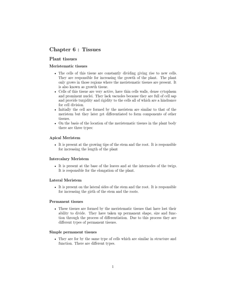 Chapter 6 Tissues Notes - Class 9 | PDF | Epithelium | Muscle