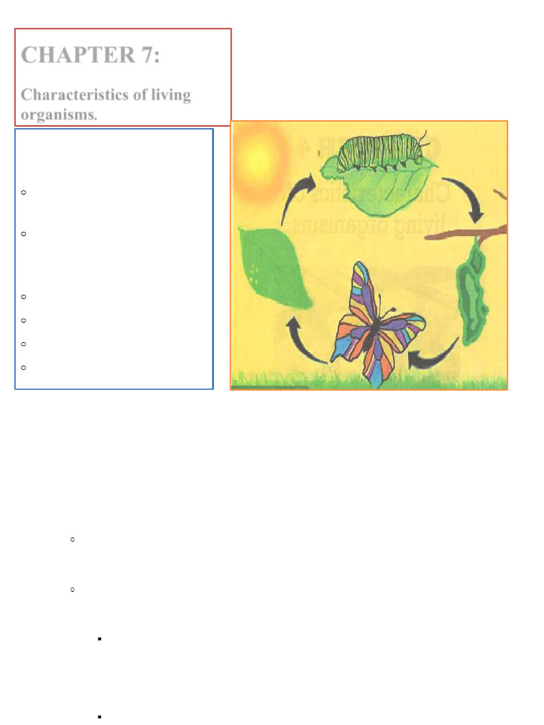CHAPTER 7 - Characteristics of Living Organisms (Part 1) | PDF ...
