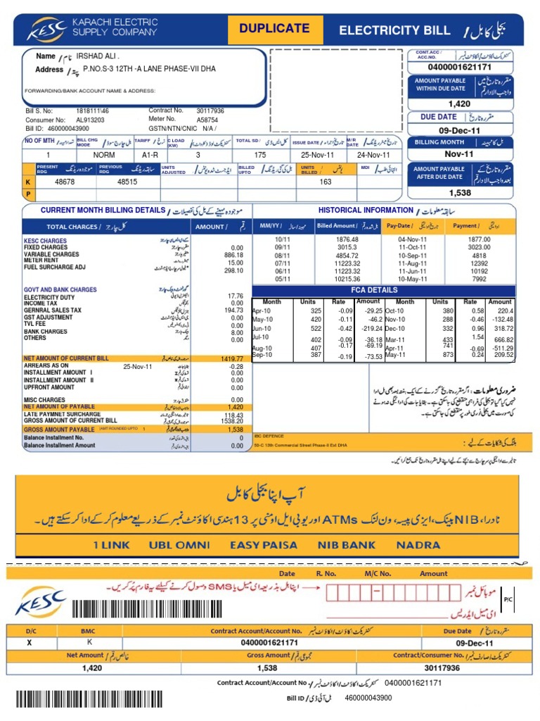 Duplicate Electricity Bill Details | PDF | Finance & Money Management