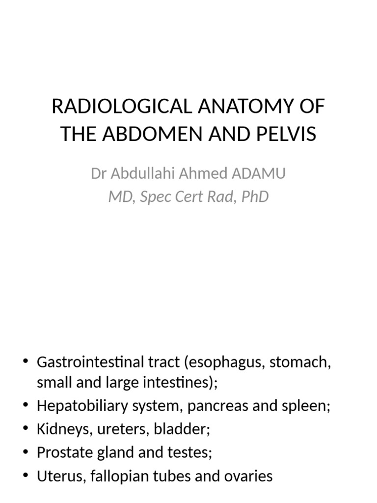Radiological Anatomy: Abdomen & Pelvis | PDF | Liver | Stomach