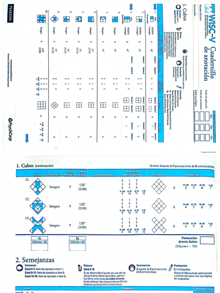 Wisc v Cuadernillo de Anotacion Escaner | PDF