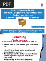 Digestive System GIZMO | PDF | Digestion | Small Intestine
