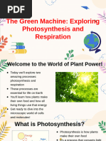 BTB Experiment: Photosynthesis & Respiration | PDF | Photosynthesis ...